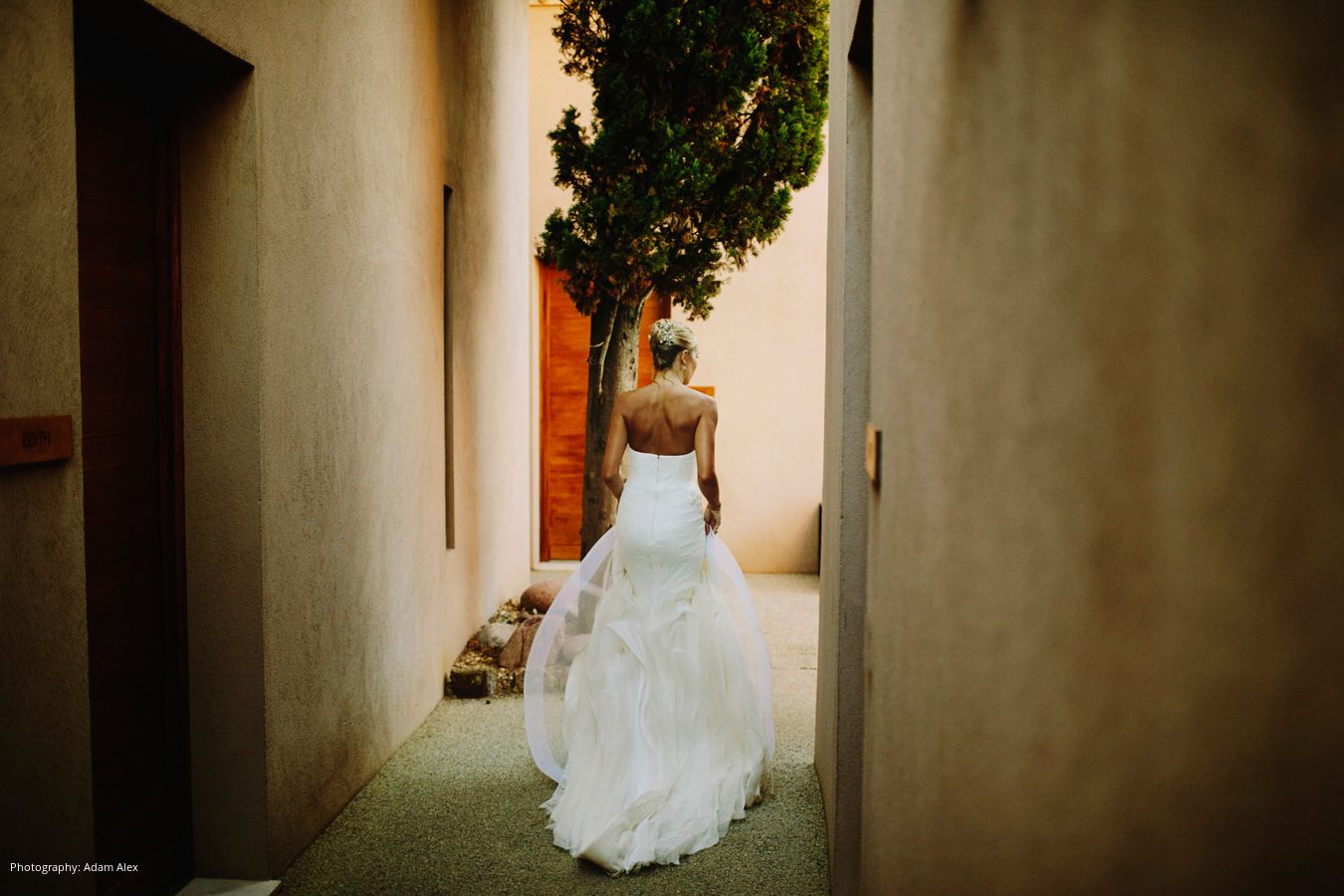 Wedding Vendors