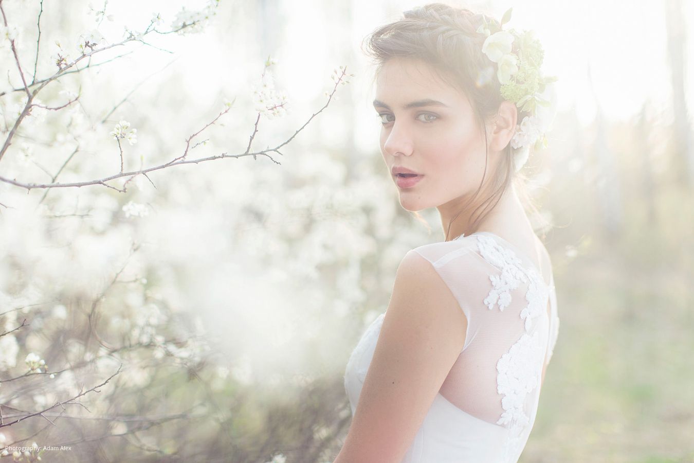Wedding Vendors